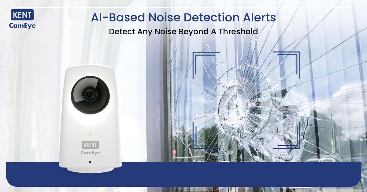 Broad Surveillance and AI-Based Cameras for Home